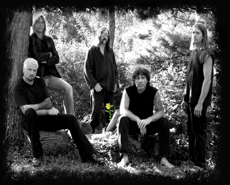 All About The Instruments